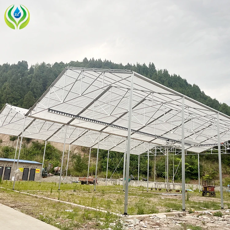 MYXL Tree Greenhouse - Retractable Structure for Nurseries
