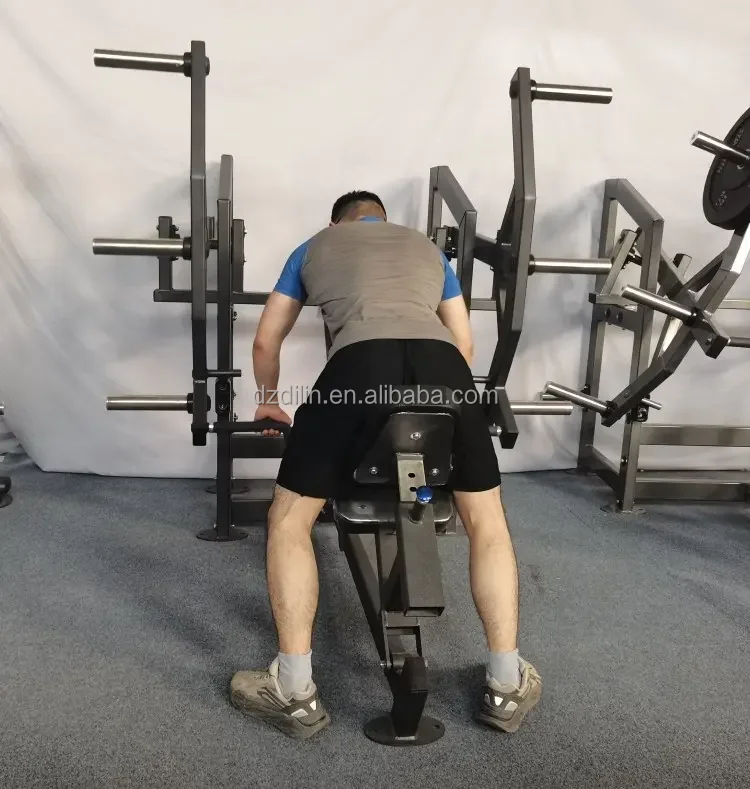 New Plate Loaded Commercial Gym Equipment Back Machine Exercise Extreme ...