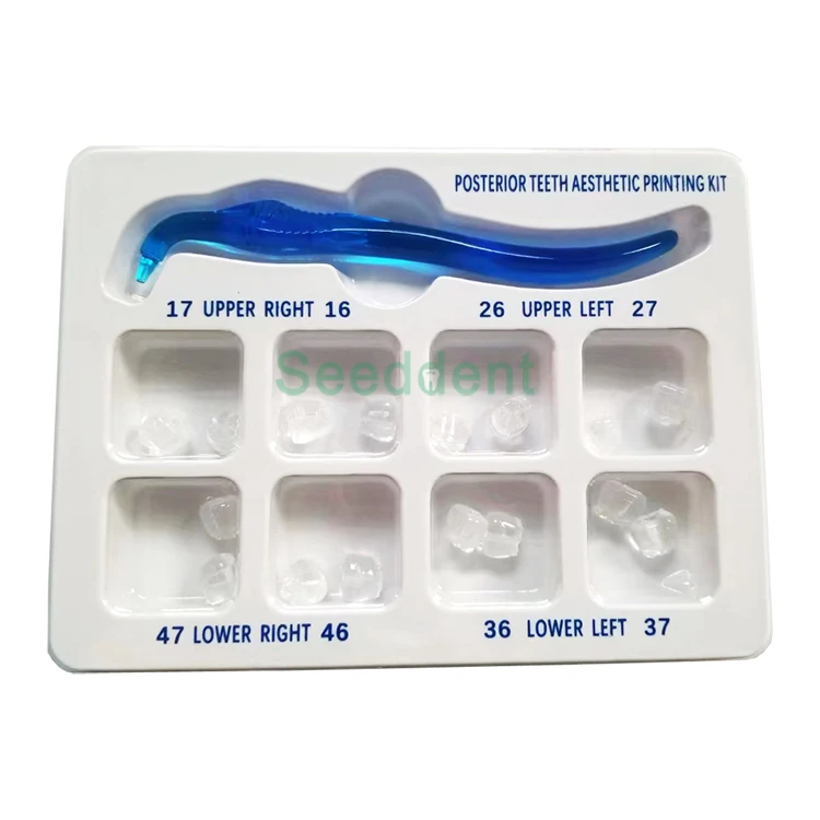 Dental Posterior Teeth Aesthetic Printing Kit Tooth Restoration Filling ...