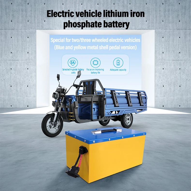 LiFePO4 Electric Vehicle Battery Pack for Two-Wheeled and Three-Wheeled ...
