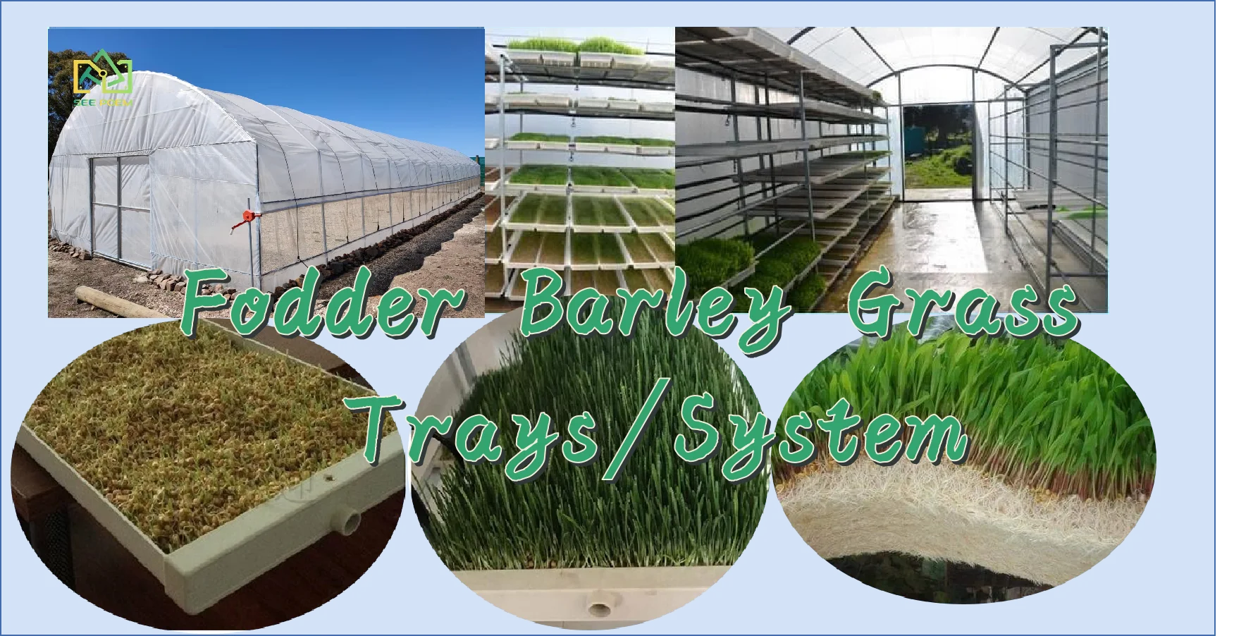 Microgreens Grow Kits Trays Stand Hydroponic Growing System