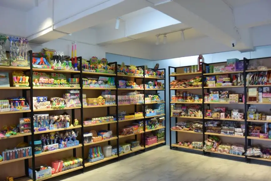 Company Overview - Shantou Mico Foodstuff Co., Ltd.