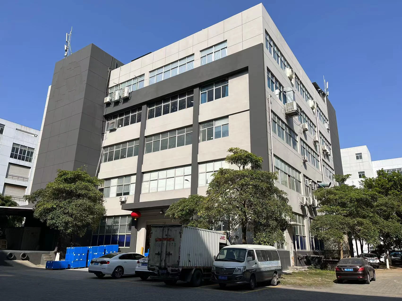 Marine Ocean Sea Turtle Tai Ji Chi Yin Yang Gothic Skull Synthesis Yak ...