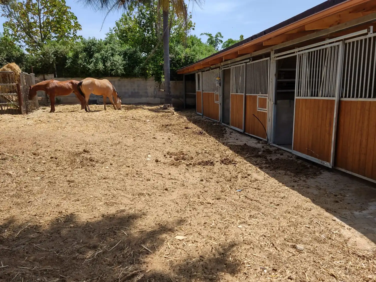 Outdoor Horse Stables And Horse Boxes With Roof - Buy Outdoor Horse ...