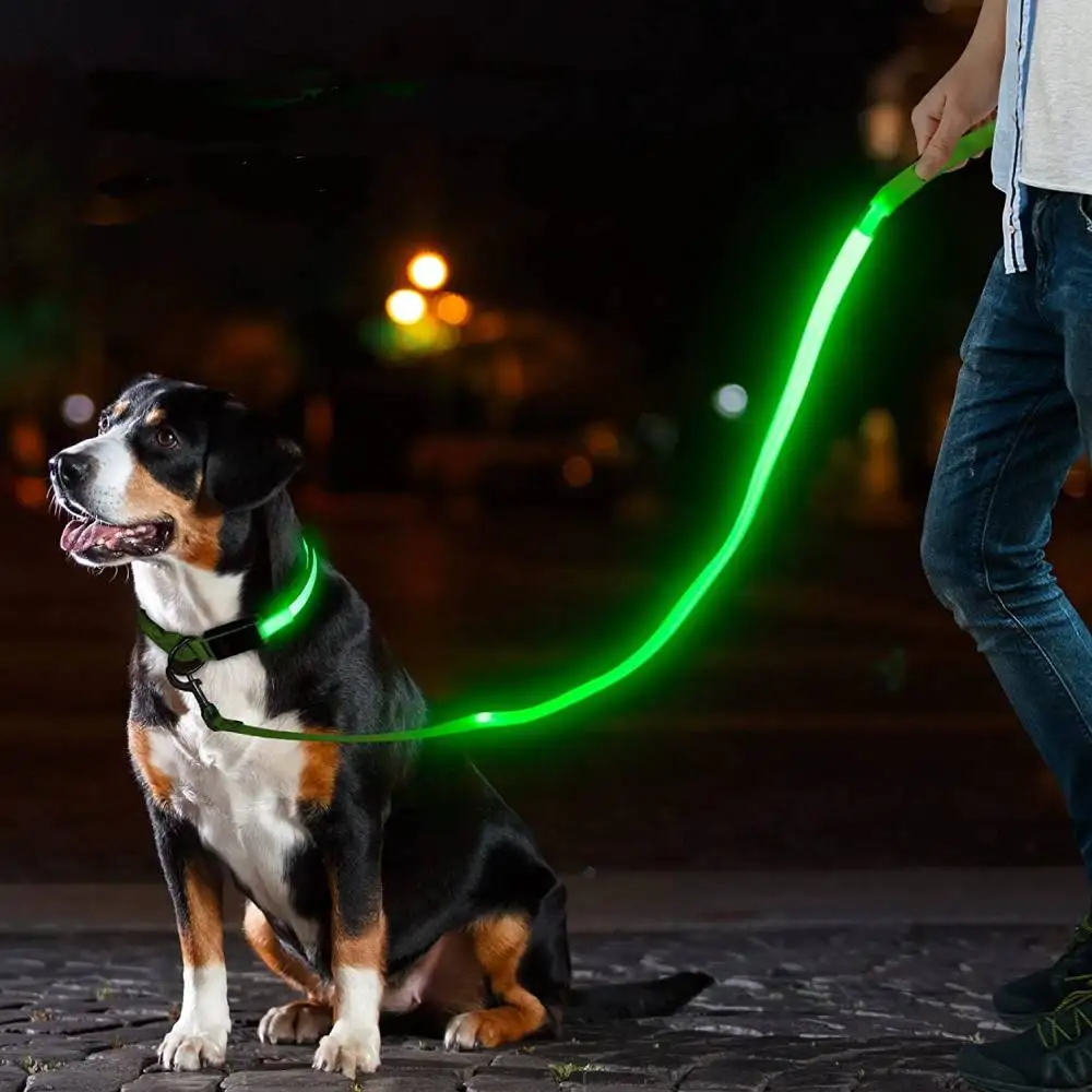 2023 USB Rechargeable Light Up Dog Leash Glowing Pet Leash LED Dog Lead ...
