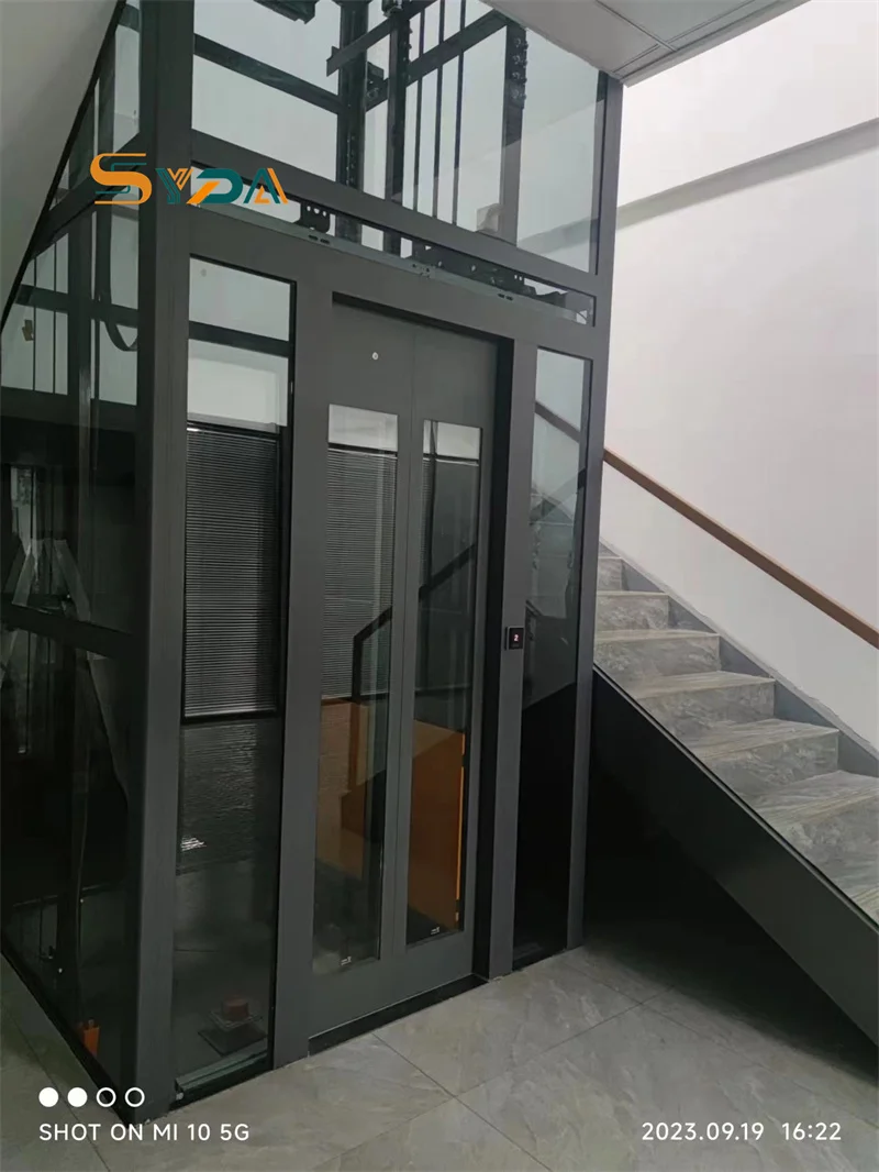 1*traction Elevator House Hold Lift Mini Villa Outside Elevator With ...