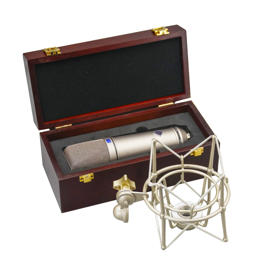 Ai 87 U Professional Studio Microphone Set for Live Broadcast