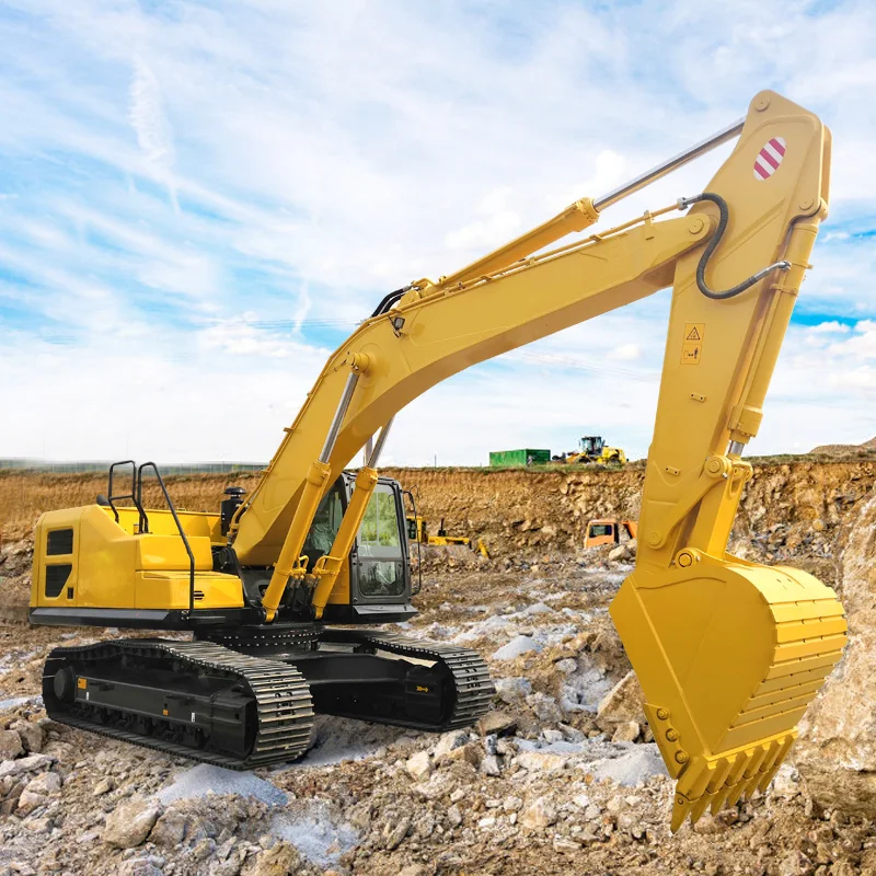 Garden Hydraulic Excavator long arm elevator China Heavy Duty Large ...