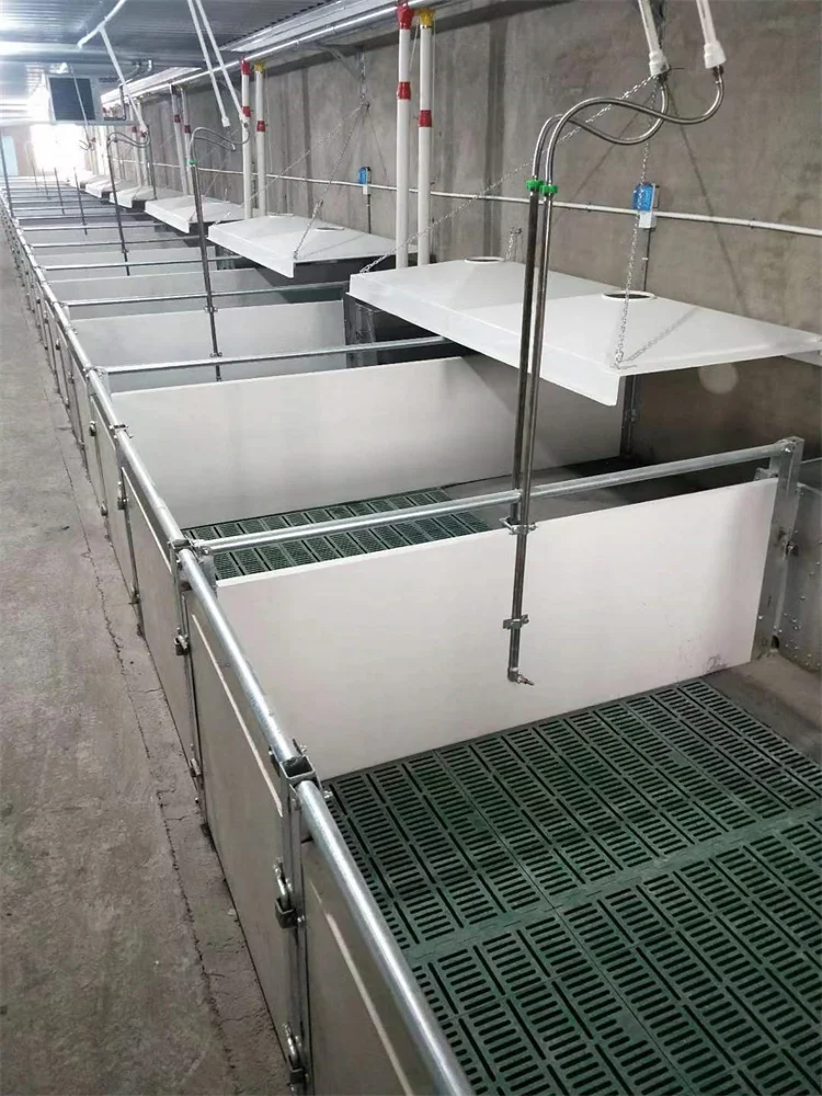 Customized Pig Gestation Stainless Steel Farrowing Crates Pig Weaning ...