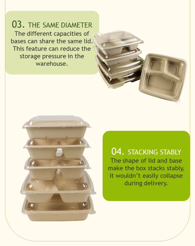 Takeaway Disposable Paper Pulp 8inch 3 Compartment Food Packaging ...