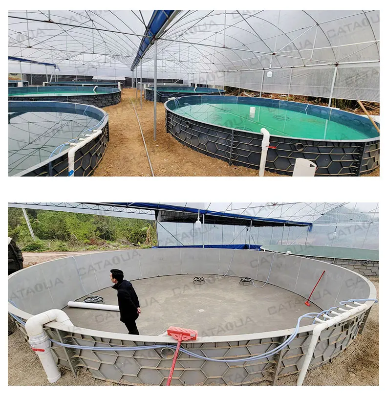 Durable RAS Aquaculture Systems Aquarium Fish Tank Plastic Fish Tank PP ...