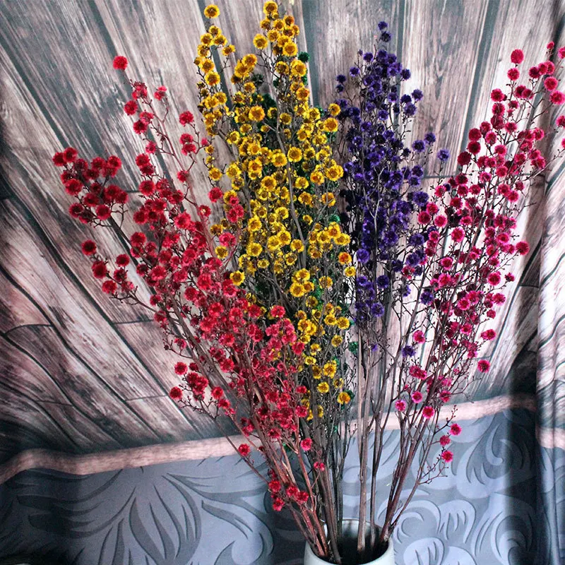 Flowers Outdoor & Gardening tiger eye flower amber flower 100g per ...