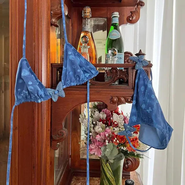 Shenzhen Becarin Apparel Co., Ltd. - Bikini, Swimwear