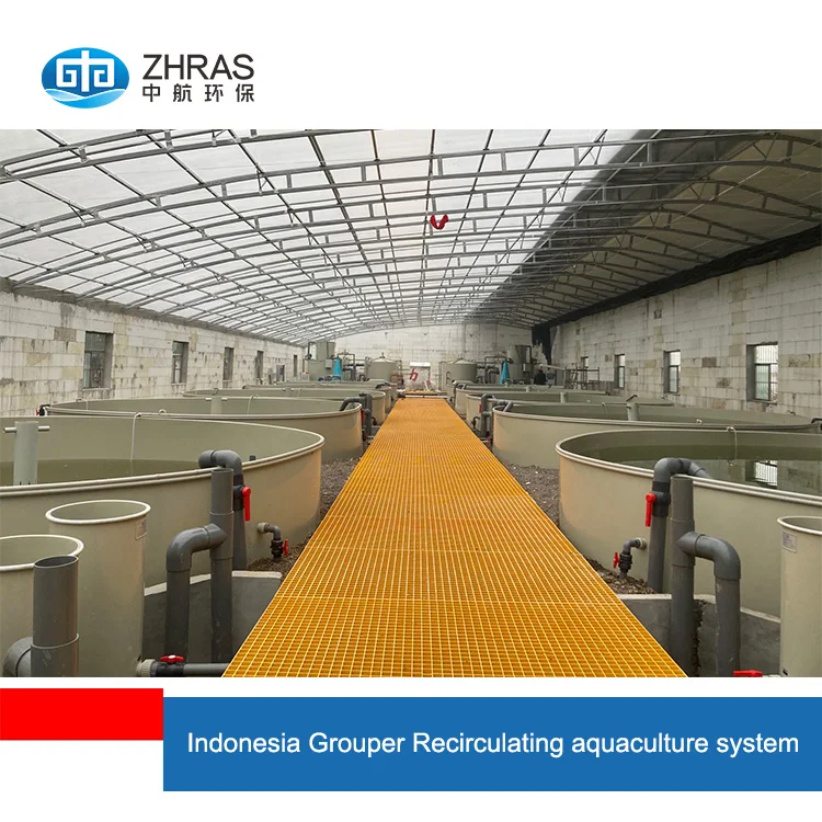 Fish Farming System/customized Wholesale Ras System For Shrimp Farming ...