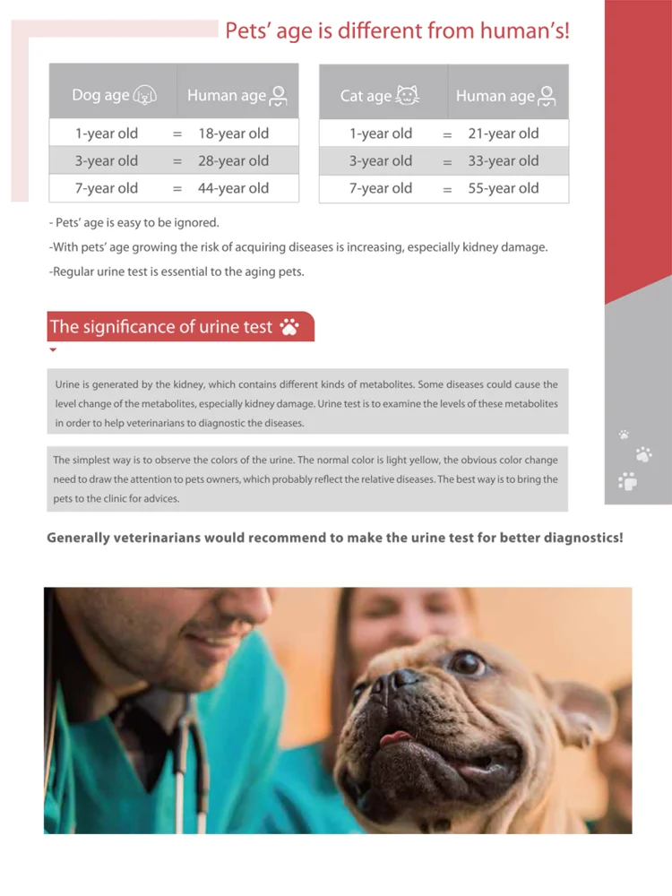Mindray UA 60V Urine Analyzer - Efficient Veterinary Diagnostics