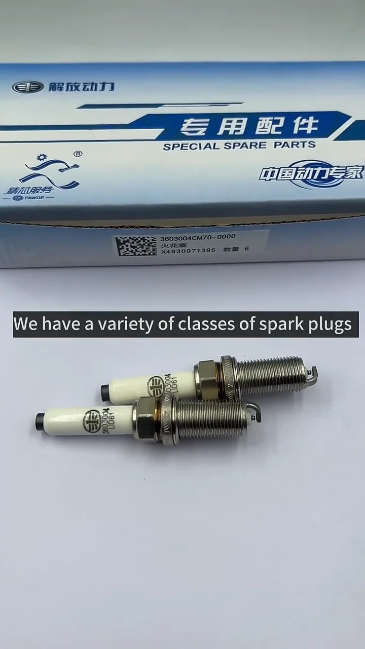 Mechanical Natural Gas Engine Parts Plug Assy Spark 3603004cm70 Spark ...