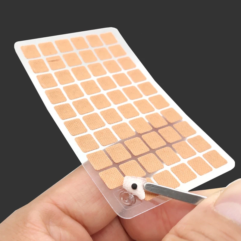 600PCS Vaccaria Ear Seeds - Auriculotherapy Acupuncture Kit