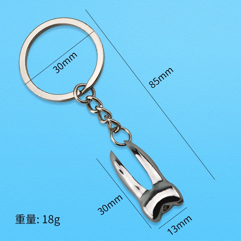 Wholesale Dentist Keychain Dental Molar Tooth KeyRing Simulated 3D ...