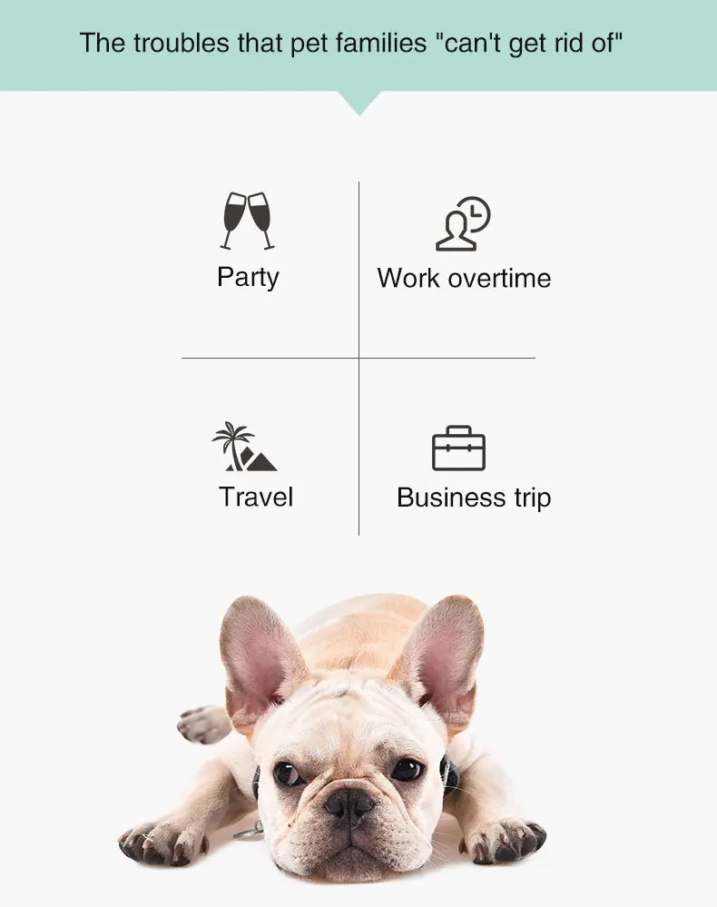 6 Meal Automatic Pet Feeder Food Dispenser With Digital Timer And Music ...