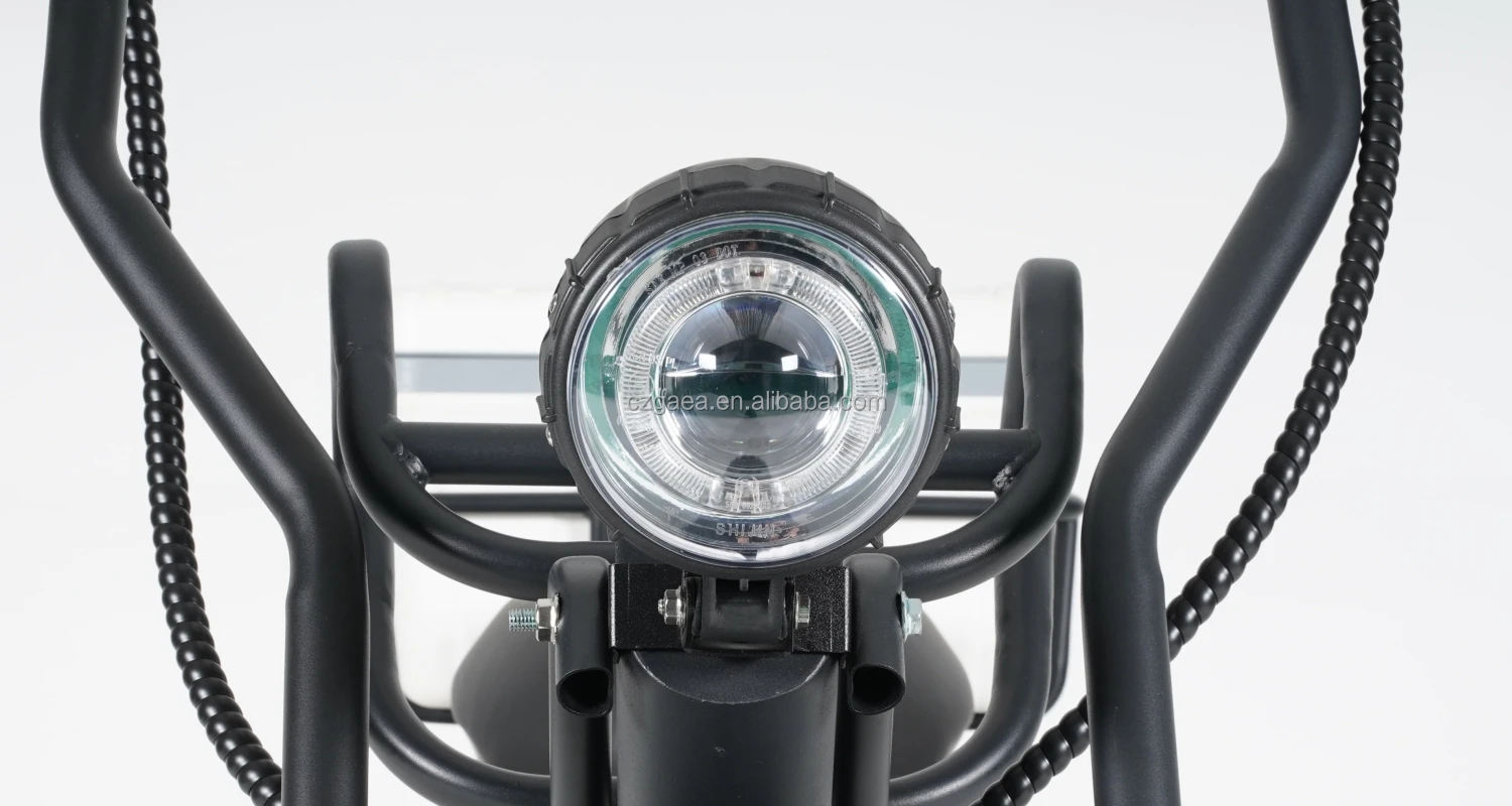 GaeaCycle M6G 3 Wheels 2000W Full Suspension Chopper Style Electric ...