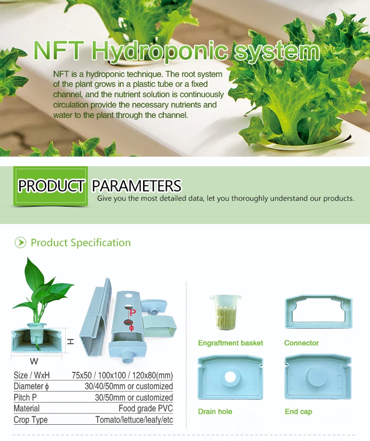 Lyine Hydroponic NFT System - Efficient Farming Solutions