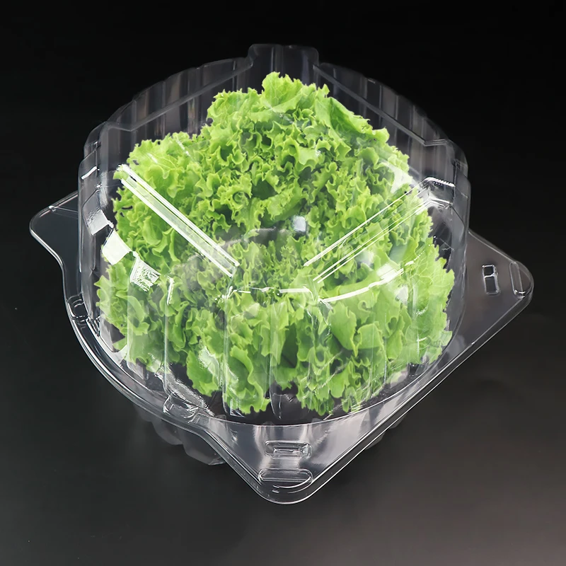 Hoagie Hinged Container - Ideal for Living Lettuce Packaging