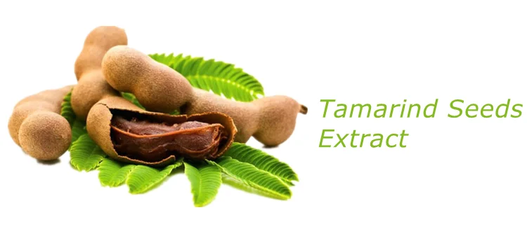 Factory Supplier Wholes Price Tamarind Seeds Extract Oem Capsules - Buy ...