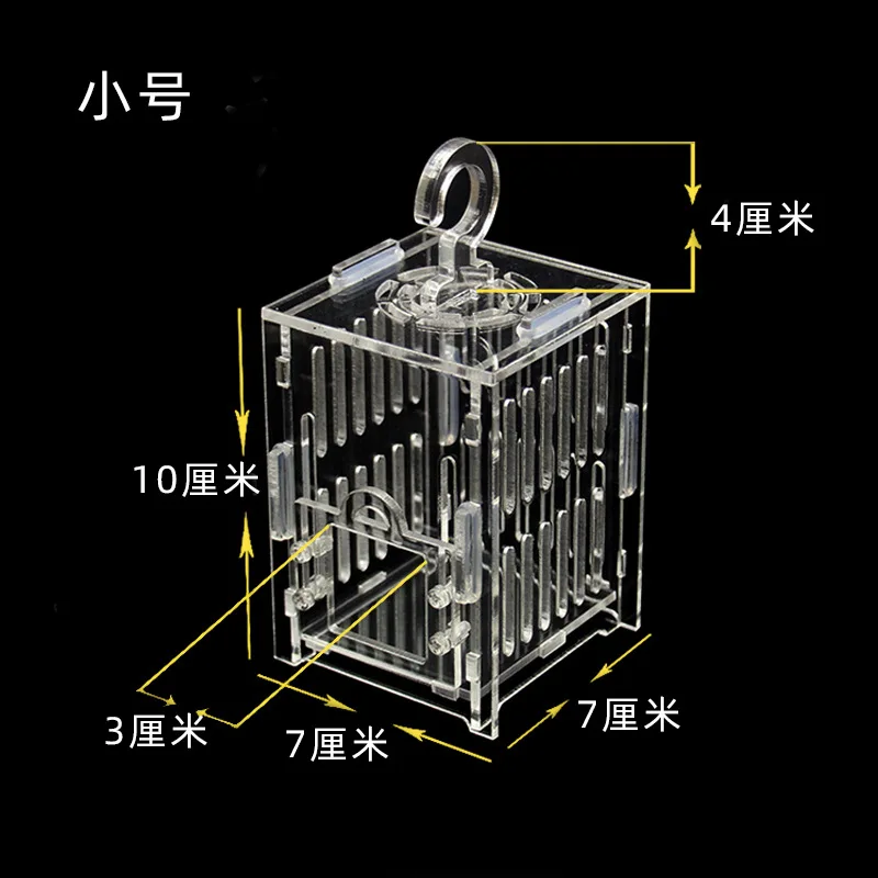 Acrylic Insect Cage - Perfect for Grasshoppers & Crickets