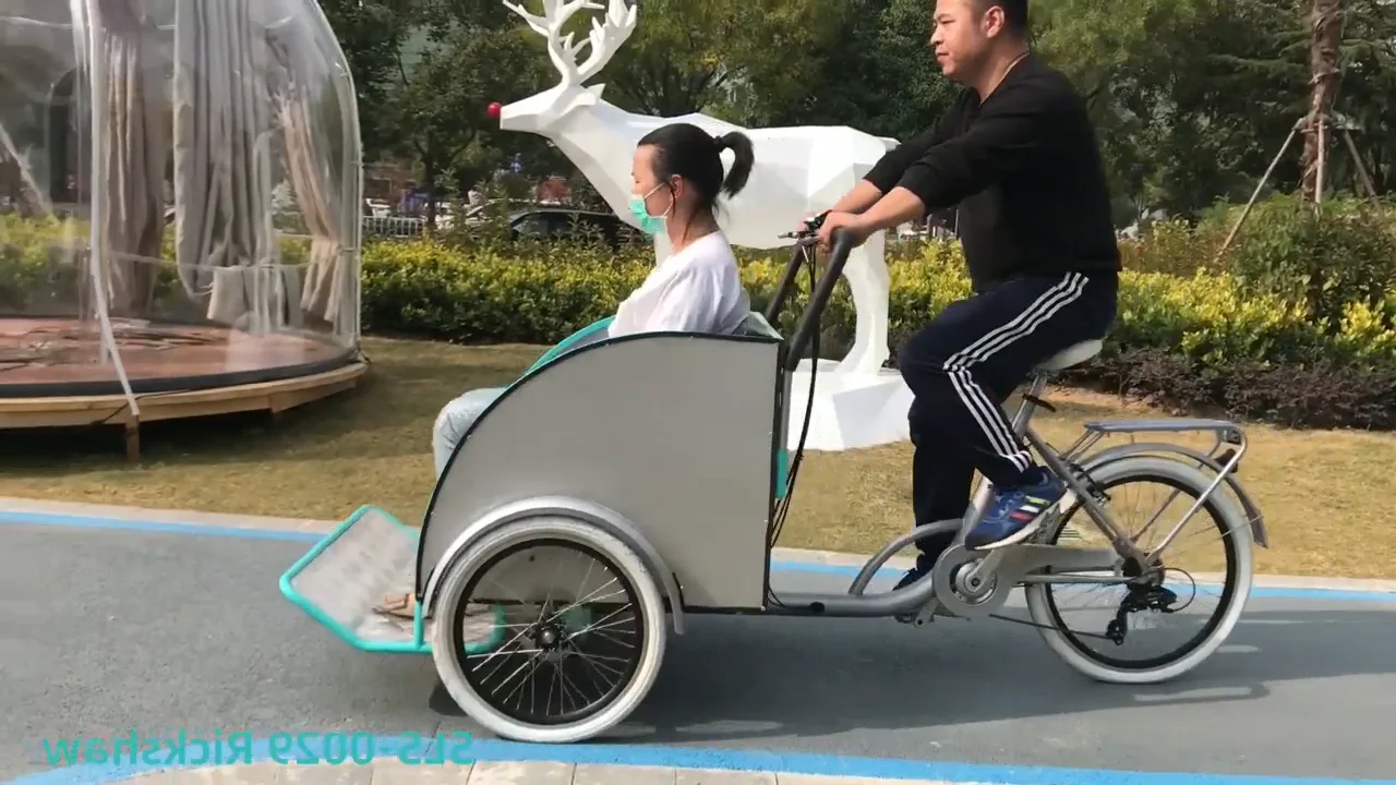 Backwards Riding Bike Rickshaw Reverse Bike For Handicapped People ...