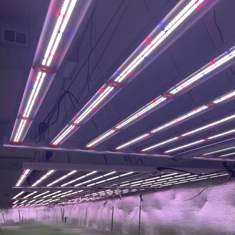 Factory Direct Wholesale from Hongyi Lighting ltd Product Show Stream ...