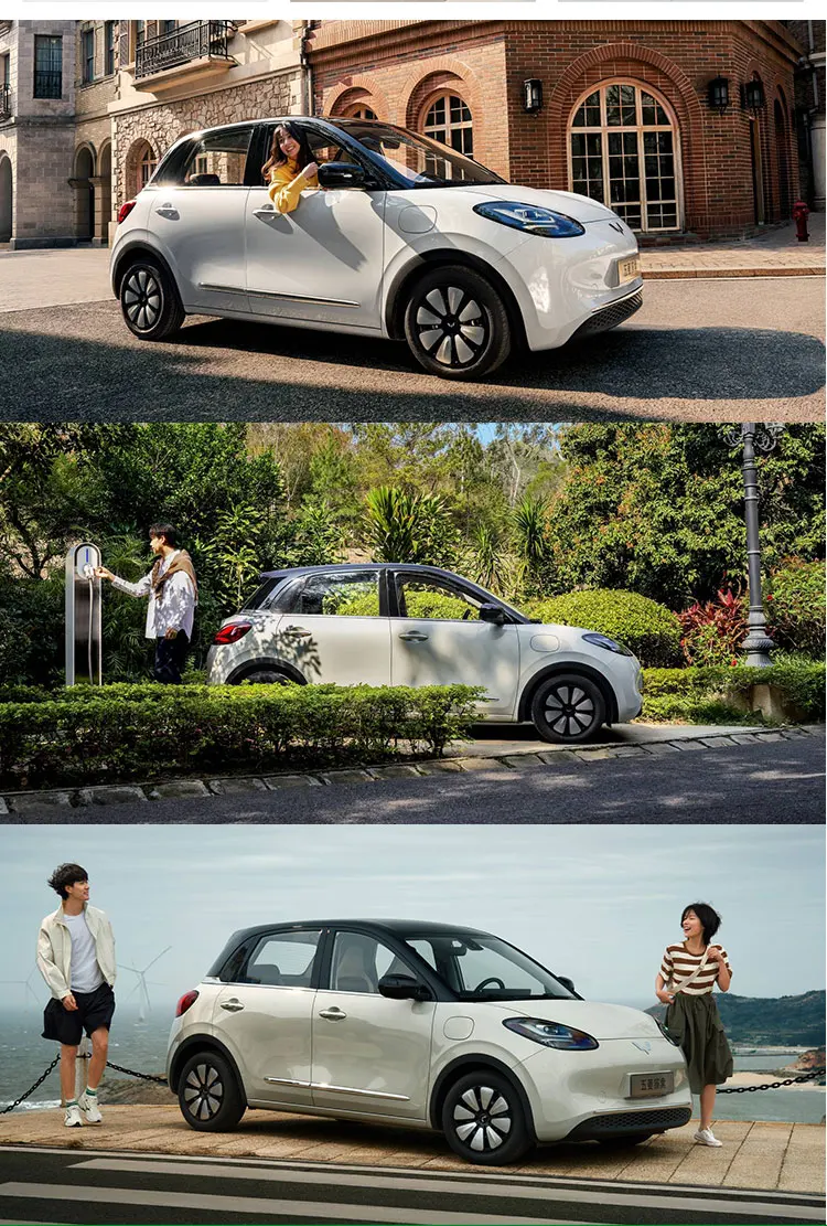 New Car 2024 Wuling Binguo Ev 5 Door 4 Seat Wiling Bingo 2023 Explosive ...