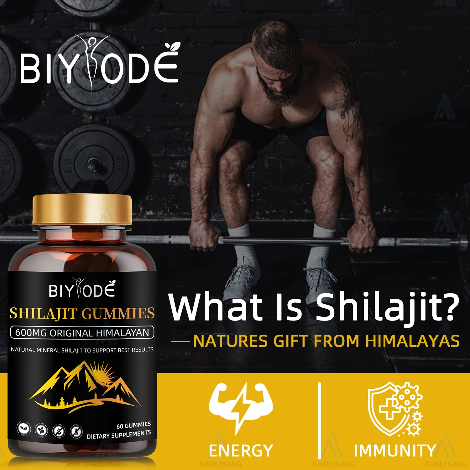 Biyode Gmp Factory Pure Naturel Himalayan Wholesale Brain Memory Immune ...