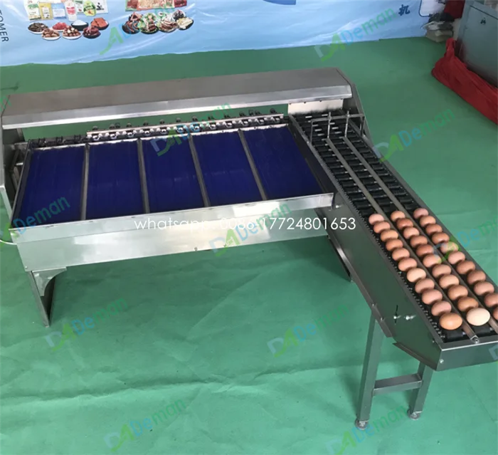 High Quality Egg Sorter Sizer Classifier Duck Egg Weight Grader Machine ...