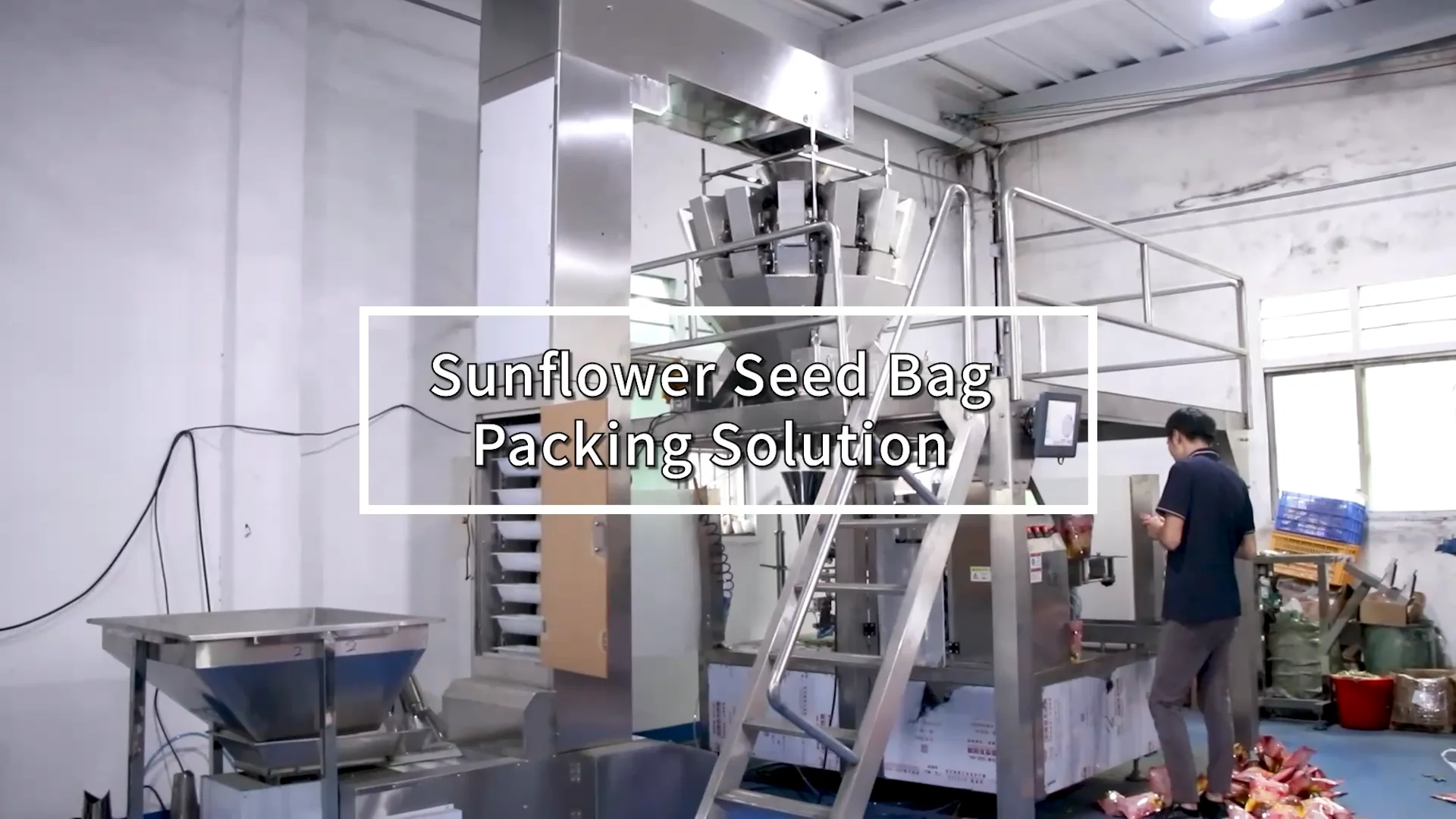 Multihead Weighing Rotary Premade Bag Packing Machine for Granule