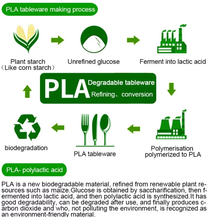 Eco-friendly Ice Cream Scoops - Customizable & Biodegradable