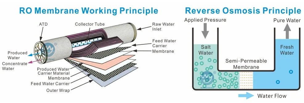 750LPH RO Filtration Well Water Purification System with Pump Motor PLC ...