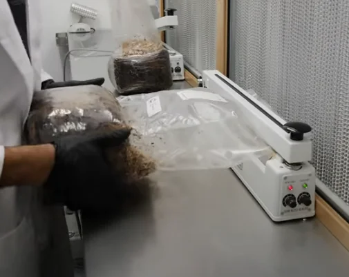 Polypropylene Mushroom Grow Bags - Ideal for All-Season Cultivating