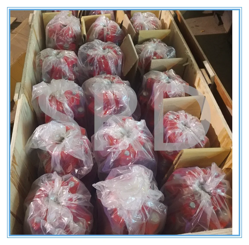 Api Standard Wellhead Tool Double Packed Stuffing Box Made In China ...