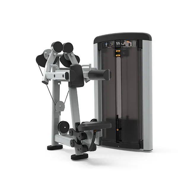 Deltoid Raise Gym Machine - Strength Training for Shoulders