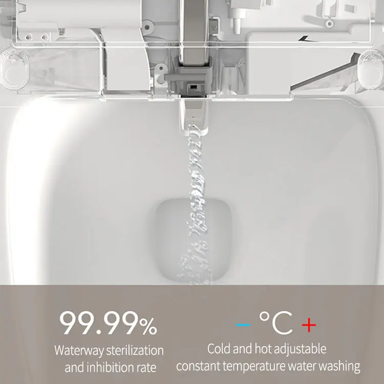 Wall Hung Smart Toilet with Concealed Cistern Heated Seat Intelligent ...