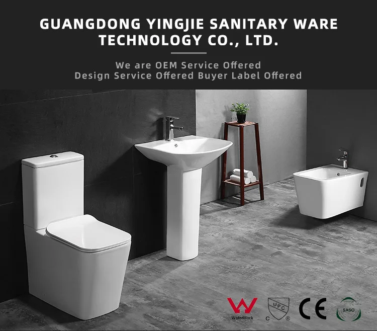 Sanitary Ware Floor Mounted Water Closet - Two Piece Porcelain