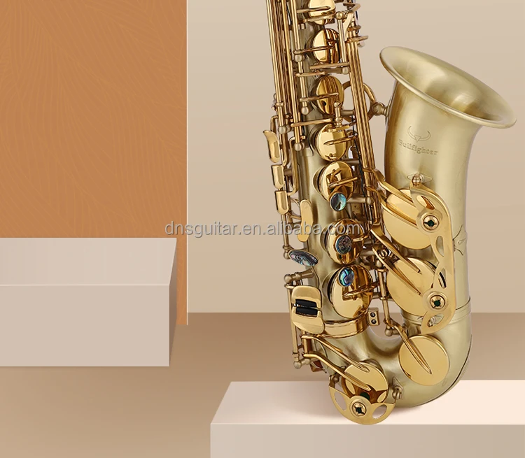 Professional S-60 Bb Tenor Saxophone with Vintage Bronze Gold Lacquer ...