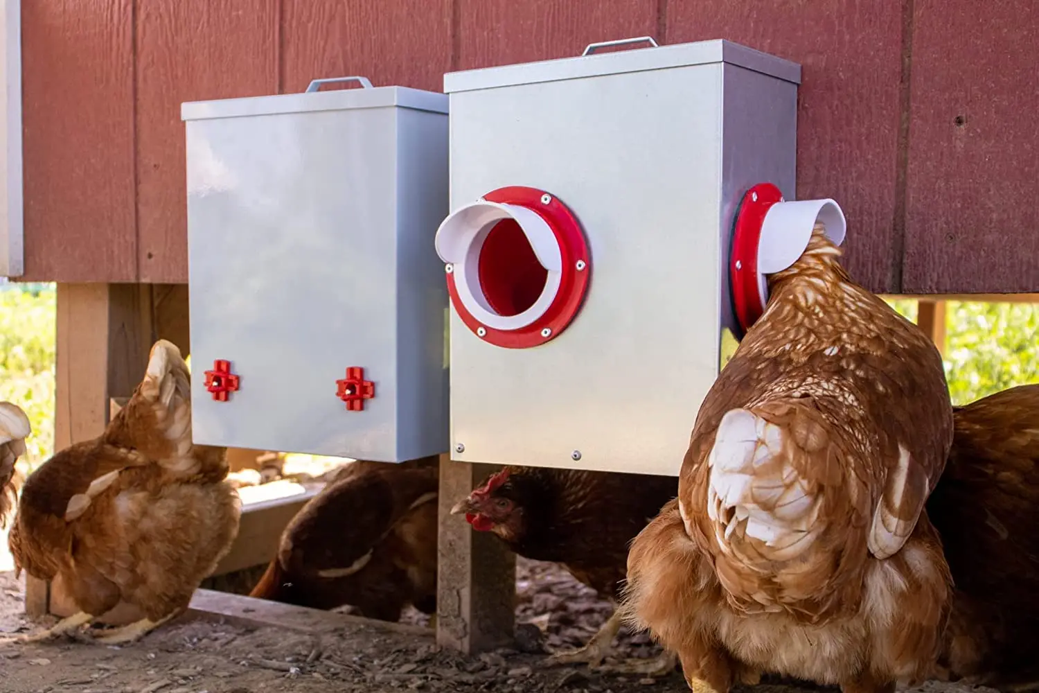 Outdoor Weatherproof Metal Poultry Container With Elbow Feeder Kit Hanging Rat Proof Chicken ...