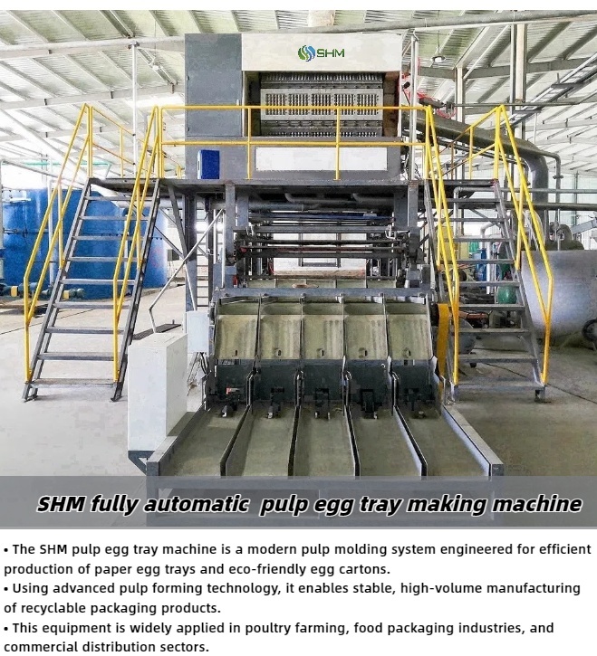 Automatic Paper Egg Tray Recycling Waste Paper Pulp Molding Disposable ...