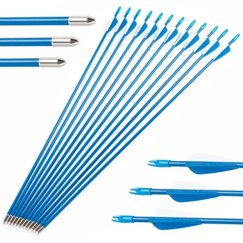 Topoint Fiberglass Practice Arrows Archery 28 Inch Oem/odm - Buy ...