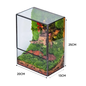Custom Enclosed Rectangular Glass Terrariums With Doors Geometric ...