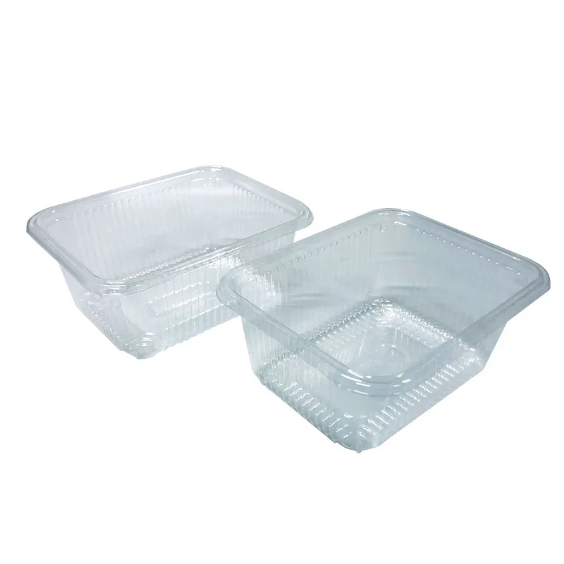 Custom Recyclable Transparent Pet Cake Box Insert Tray Blister ...