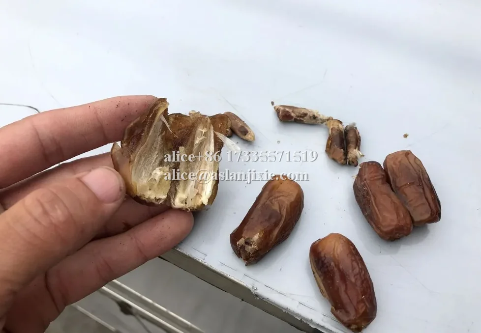 Hawthorn Fruit Seed Pitting Machine/ Cherry Seed Remover Cutting ...
