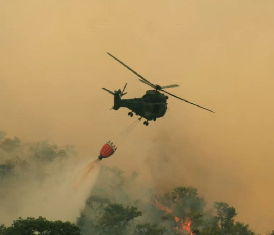 Forest Defender For Forest Fire Suppression - Buy Forest Fire ...