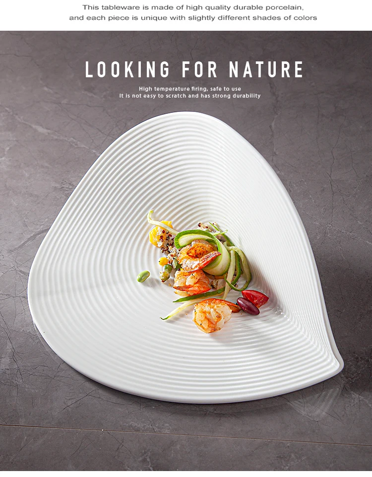 Elegant Irregular Ceramic Plates - Unique Porcelain Dinnerware for ...